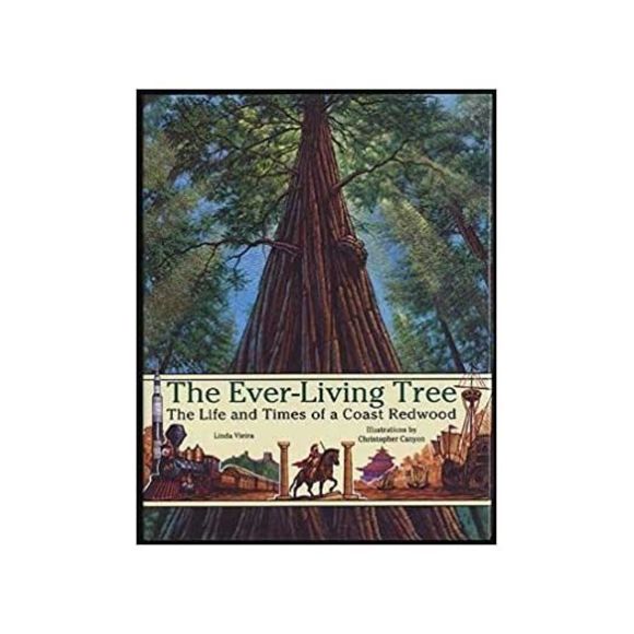 No Brand | Other | The Everliving Tree The Life And Times Of A Coast ...
